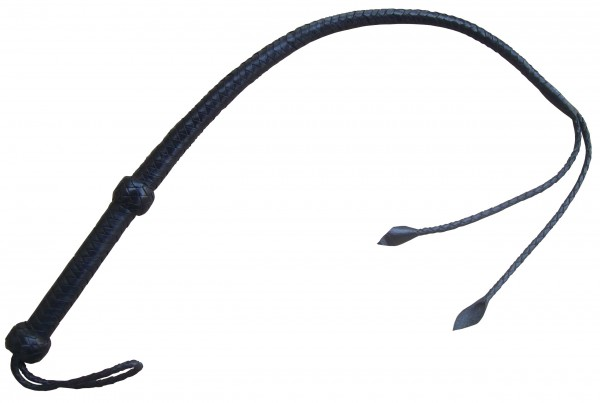 Wie bereitet man Freude mit einer Peitsche? – Love 99